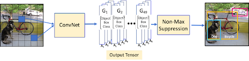 Real Time Object Detection Using Yolo Imerit
